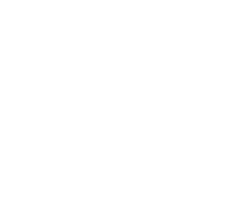 Learn More About Iron – Ferralet® 90