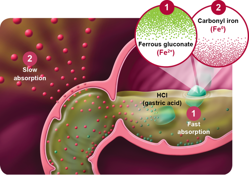 HCP Healthcare Professionals – Ferralet® 90